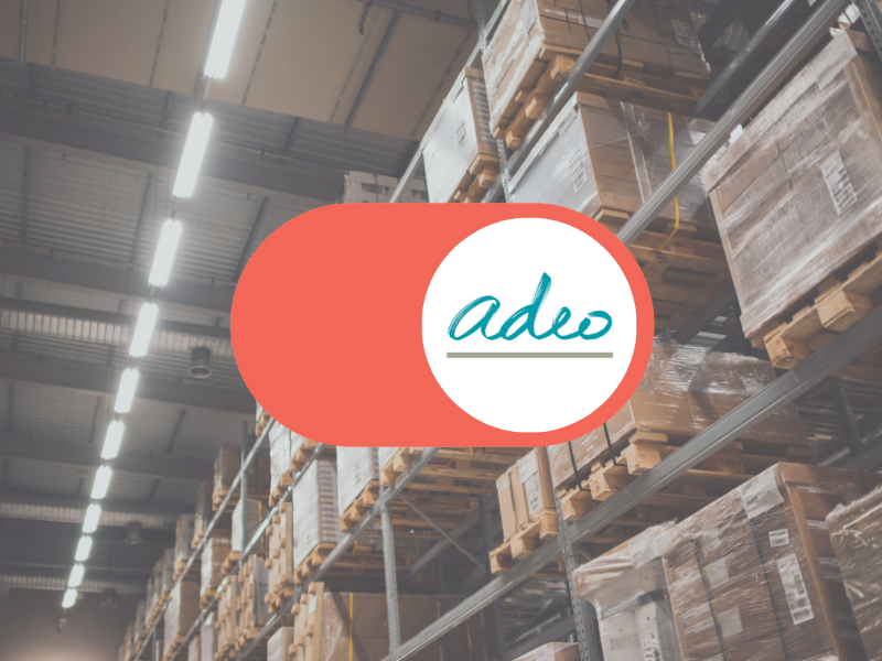 Création et structuration d'une filiale ADEO - Cas client